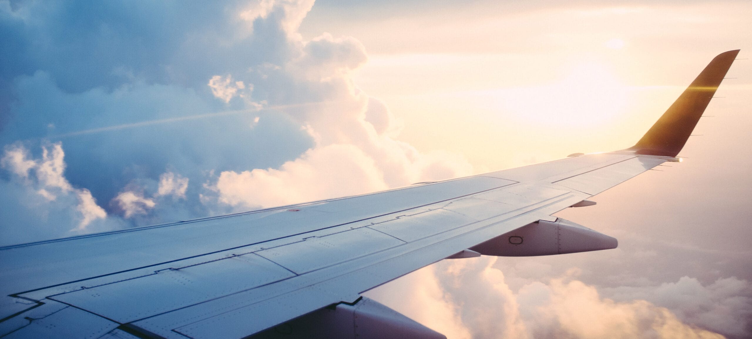 The history of Danes Worldwide - Global Danes since 1919.